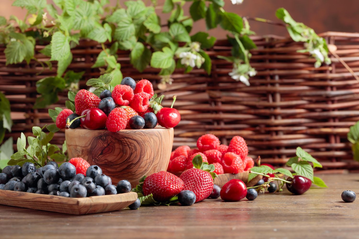 Centre de Jardin Floréal de Laval