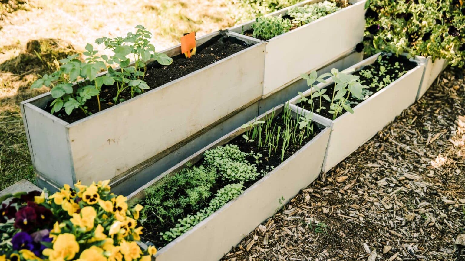 Comment faire une plate-bande gourmande | Floréal